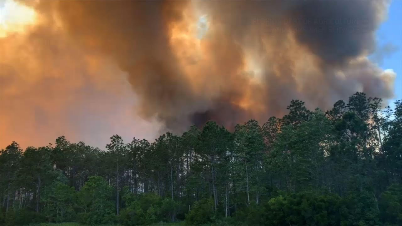 Cientos De Personas Evacuadas Mientras Se Desatan Incendios Forestales